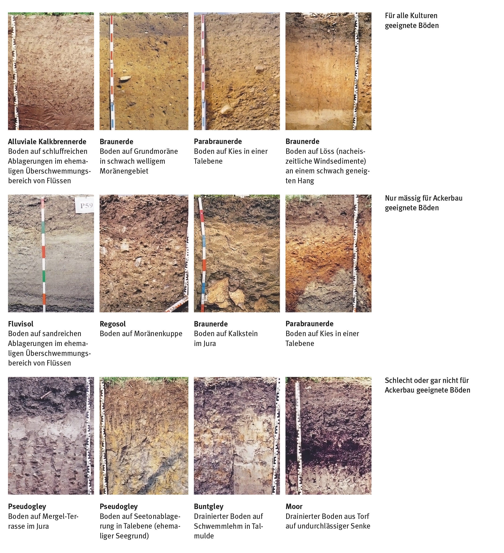 Den Boden fit halten - SNF